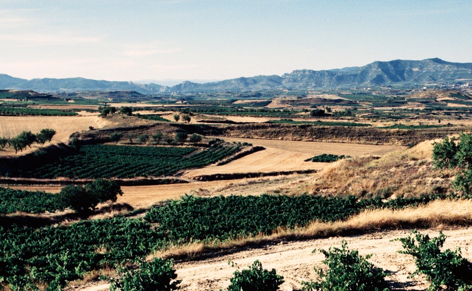 Berry Bros. & Rudd | est. 1698 - Award Winning Fine Wine & Spirits ...