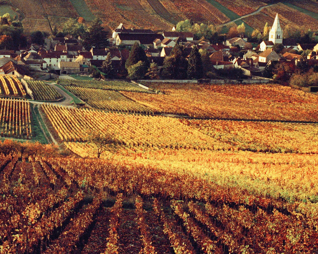 Berry Bros. & Rudd | est. 1698 - Award Winning Fine Wine & Spirits ...