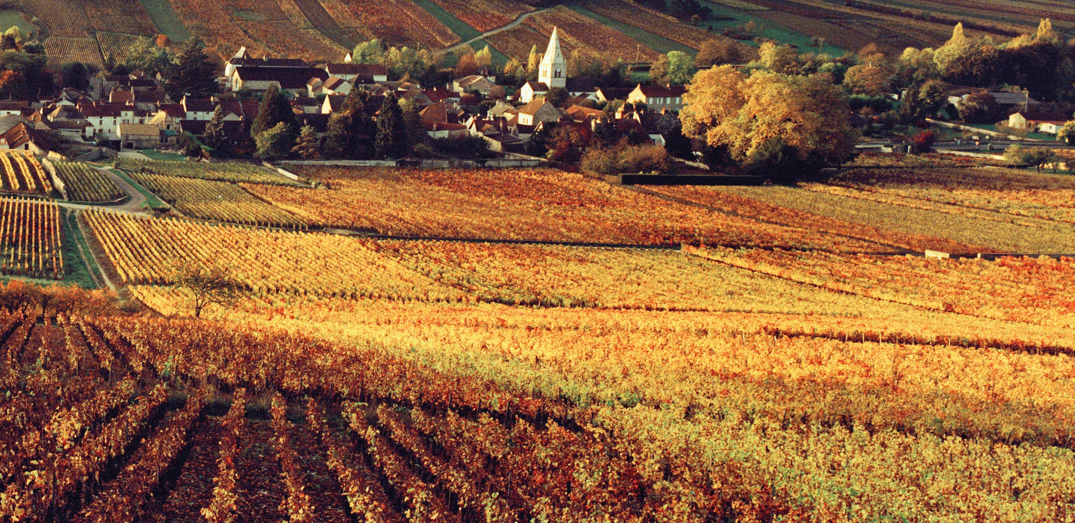 Berry Bros. & Rudd | est. 1698 - Award Winning Fine Wine & Spirits ...